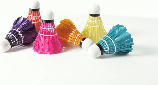 SHUTTLECOCKS FEATHERS 6 PSC 6 COLOURS | bol.com