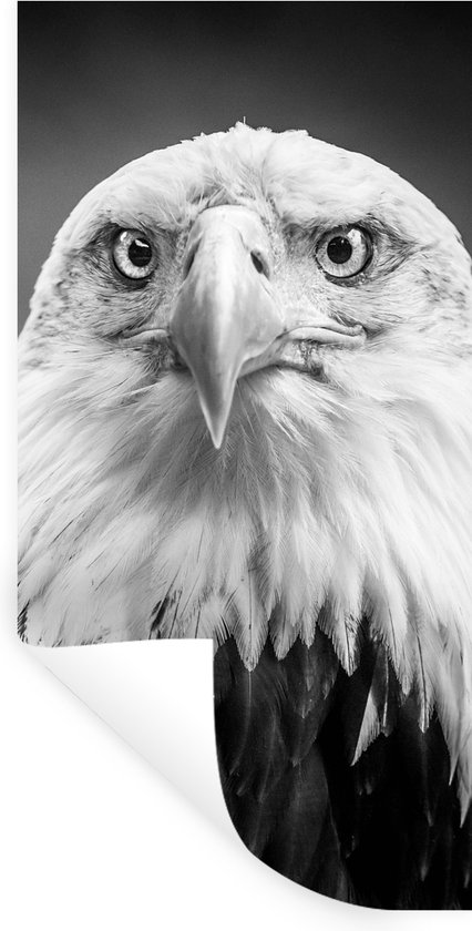 Muurstickers - Sticker Folie - Arend - Roofvogel - Zwart - Wit - Dieren - 60x120 cm -... | bol