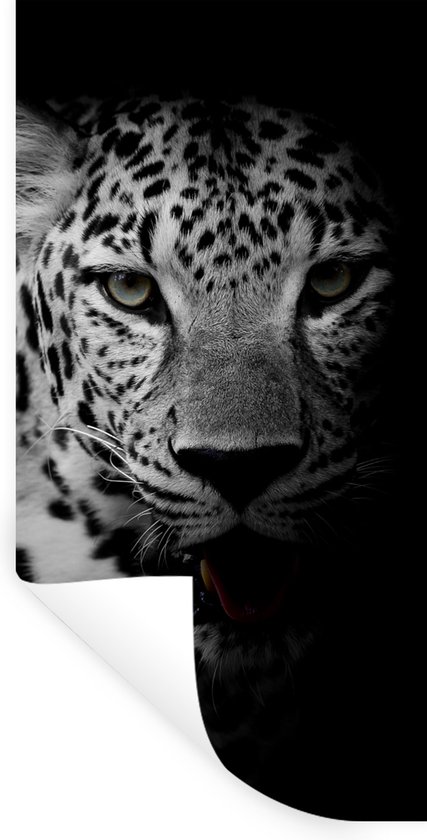Muurstickers - Sticker Folie - Dieren - Zwart - Wit - Panter - Portret - 80x160 cm -... | bol