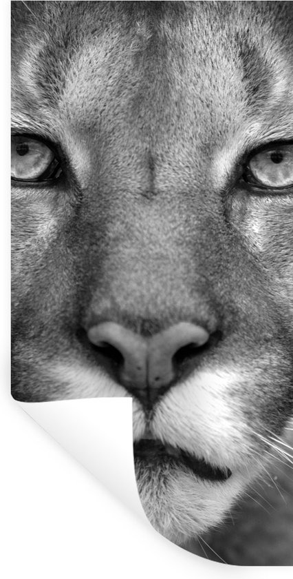 Muurstickers - Sticker Folie - Panter - Wilde dieren - Zwart - Wit - 20x40 cm -... | bol