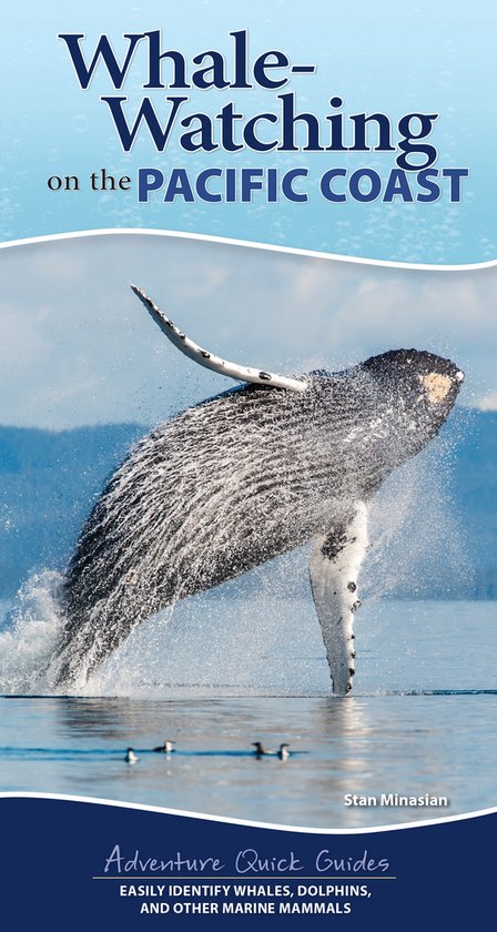 Adventure Quick Guides- Whale Watching on the Pacific Coast, Stan ...