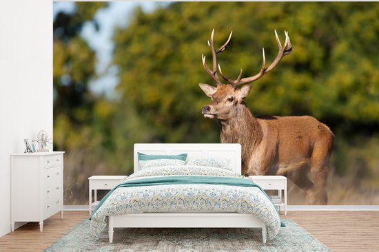 Behang - Fotobehang Dieren - Hert - Gewei - Bosdieren - Natuur - Breedte 375 cm x... | bol