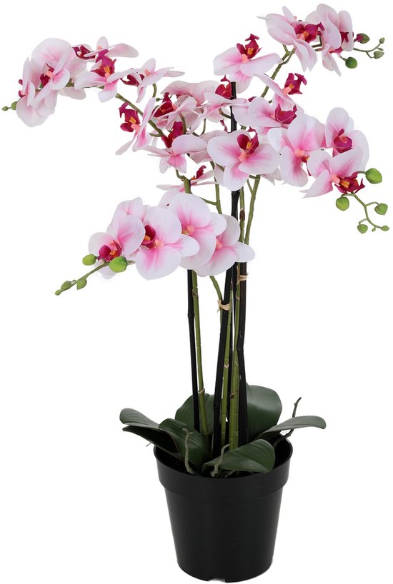 Viv! Home Luxuries Orchidee in pot - zijden bloem - roze wit - 65cm ...
