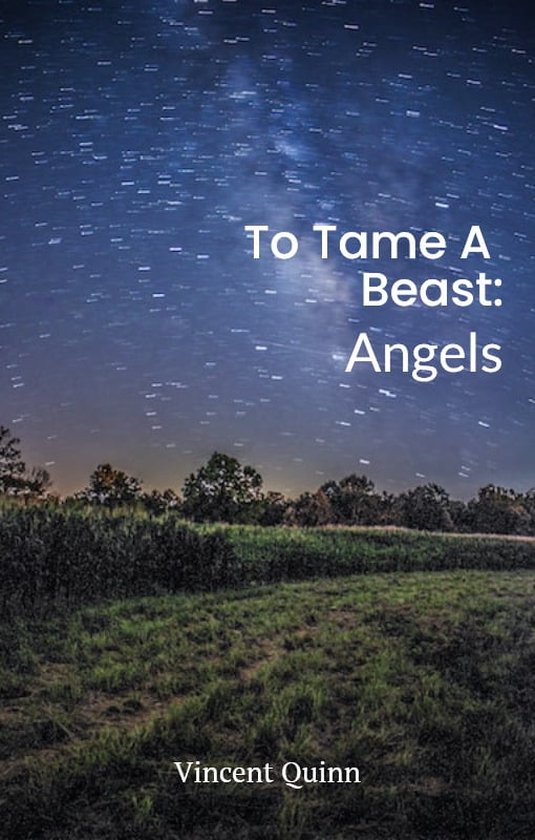To Tame A Beast 1 - To Tame A Beast (ebook), Vincent Quinn ...