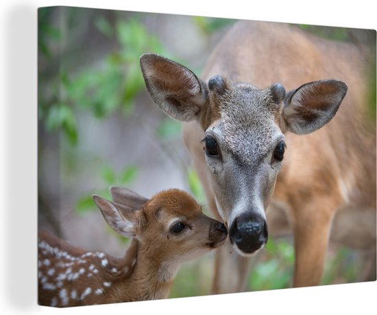 Canvas Schilderij Teder moment tussen jong hert en zijn moeder in ...