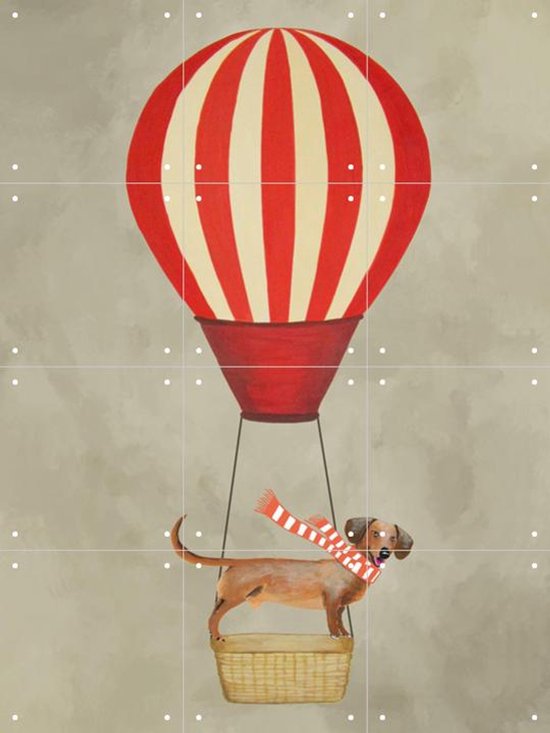 IXXI Dachshund with airballoon, Coco de Paris - 60 x 80 cm - Gratis ophangtool - Grote... | bol