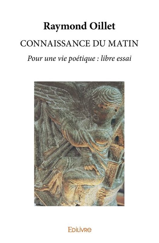 Itinérances - Connaissance du matin (ebook), Raymond Oillet | 9782414245567 | Boeken | bol