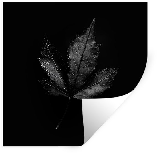 Muurstickers - Sticker Folie - Zwart - Blad - 120x120 cm - Plakfolie ...