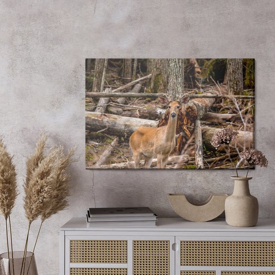 Schilderijkoning - Canvas Schilderij Een Jong Hert Tussen De Bomen - 70 ...