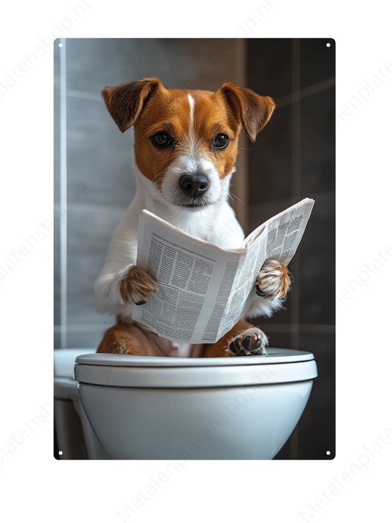 Jack Russel op de WC met een krant | bol