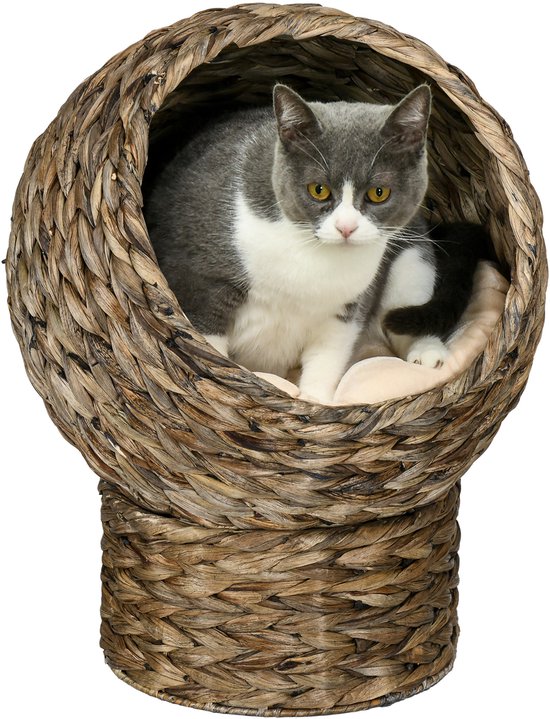 Rotan Kattenmand - Gezellig Kattenholletje met Kussen - 42x33x52cm | bol