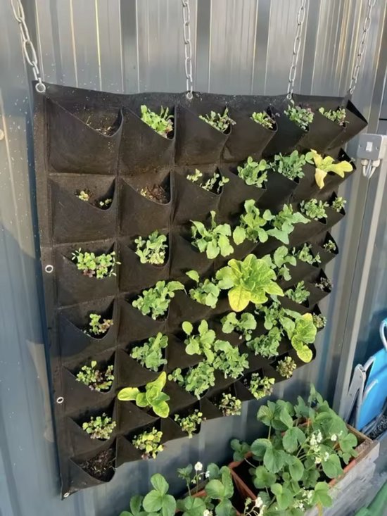 CHPN - Verticale tuin - Muurtuin - Zak voor aan de muur met planten ...