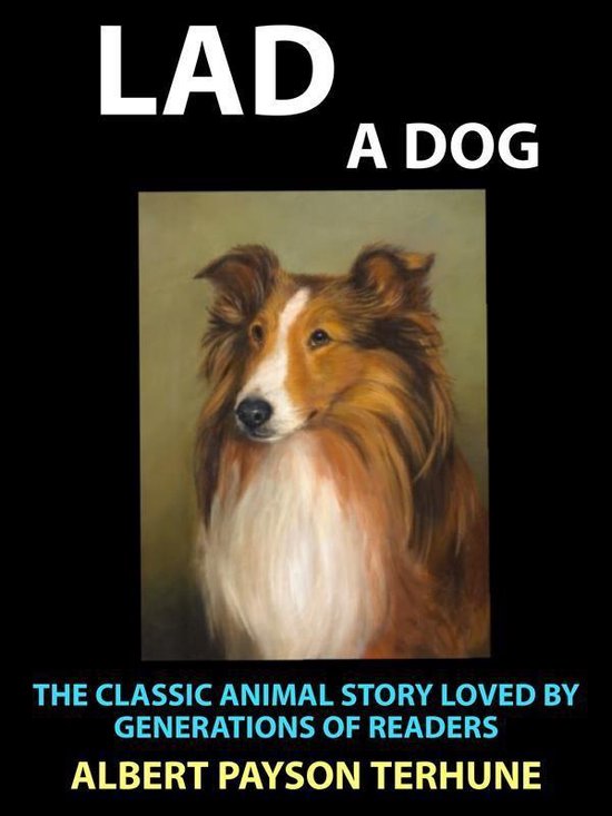 Animal Fiction Collection 3 - Lad A Dog (ebook), Albert Payson Terhune ...