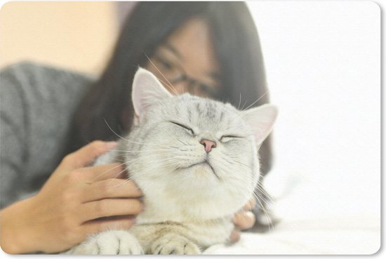 Muismat Close-up Katten - Vrouw met kat op bed muismat rubber - 60x40 ...