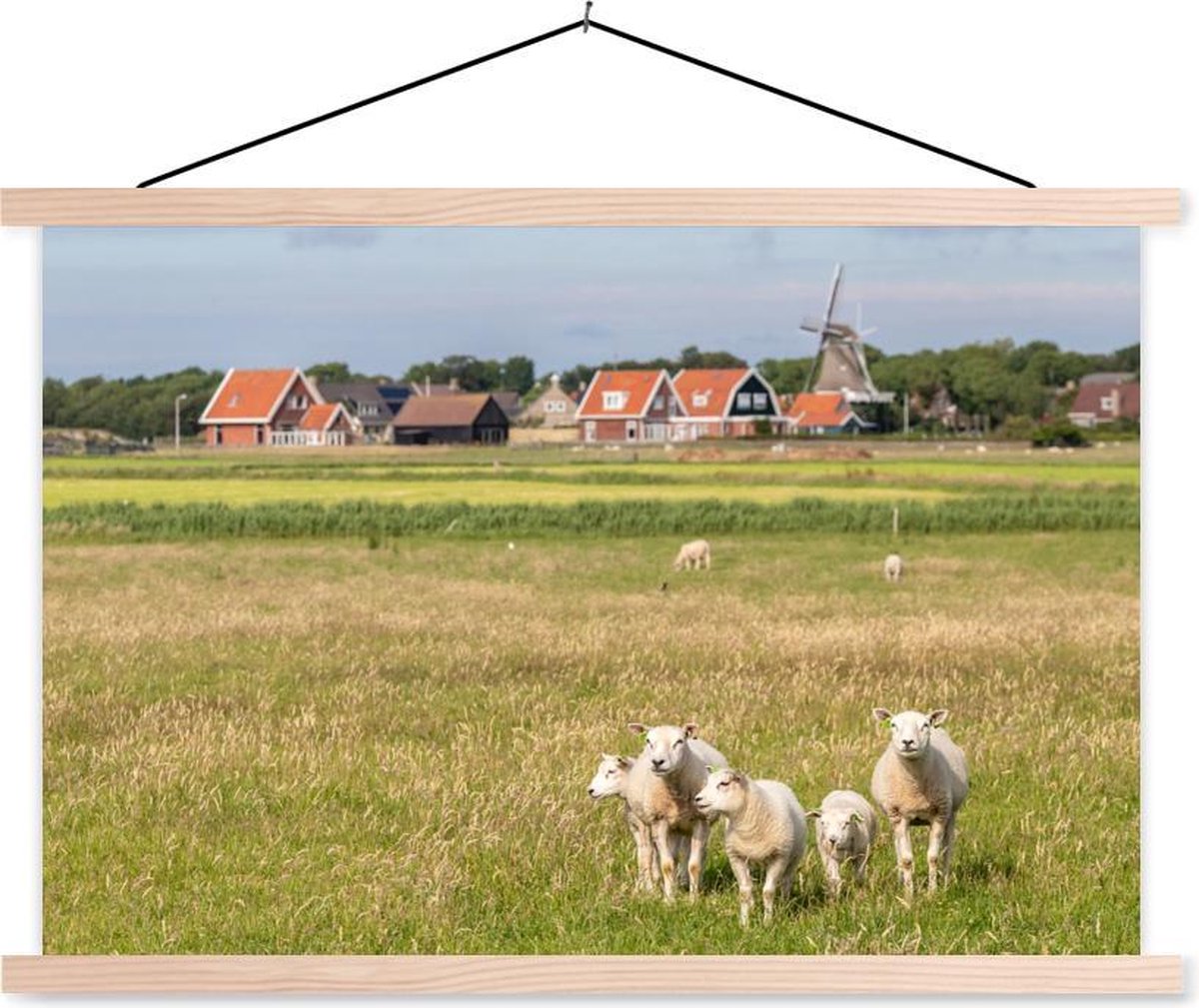 Schapen en een molen op Ameland 150x100 cm | bol.com
