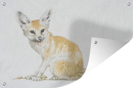 Tuinposters buiten Een kleurtekening van een fennek - 90x60 cm - Tuindoek | bol
