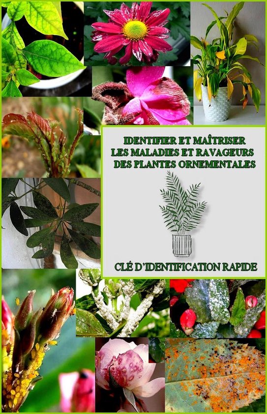 Identifier et Maitriser les Maladies et Ravageurs des Plantes ...