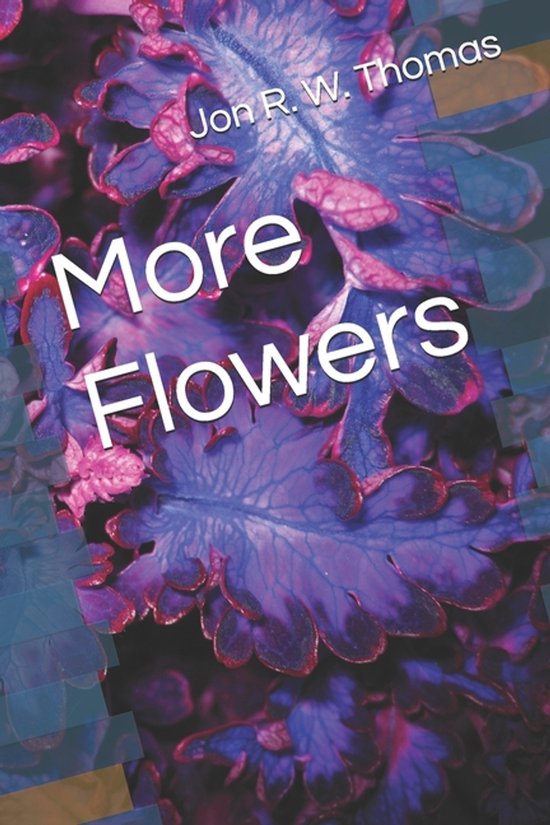 More Flowers, Jon R W Thomas | 9798333966278 | Boeken | bol