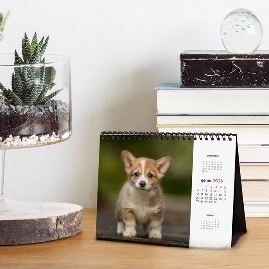 Bureau Kalender 2025 - Bureaukalender 2025 Staand - Bureau Kalender ...