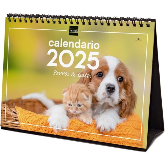 Bureau Kalender 2025 - Bureaukalender 2025 Staand - Bureau Kalender ...