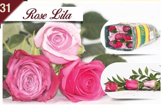 24x Rosa mix/bos hoja verde triett rosa lila 50cm | bol