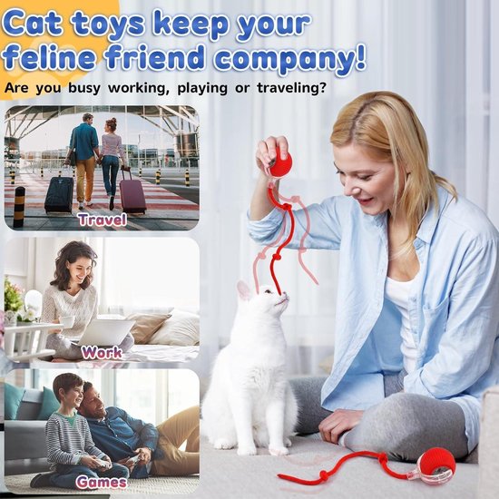 Interactieve kattenspeelgoedbal voor binnenkatten en volwassenen - 360 ...