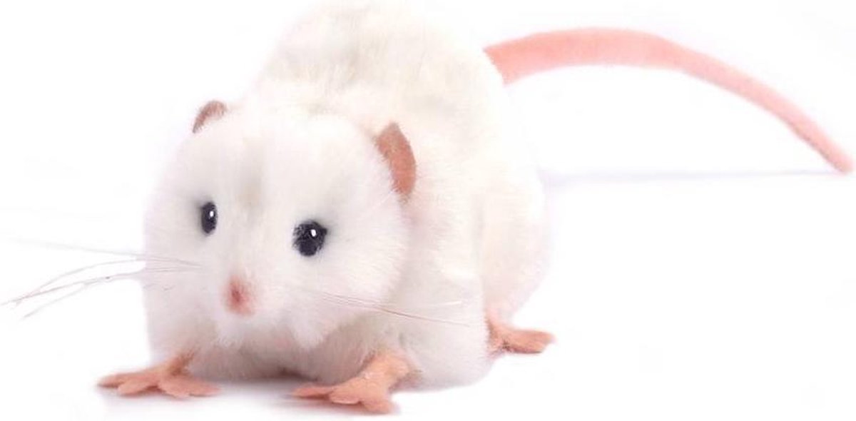 Rat Knuffel wit, 12 cm, Hansa | bol.com