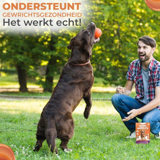 K9 Laboratories Heup & Gewrichten - Hond supplement voor soepele ...