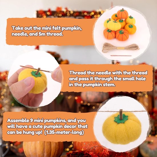 Famanu – Mini pompoen decoratie set, herfstinterieur en ...