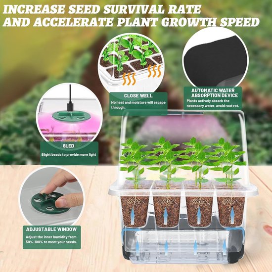 Mini Kweekkas Grow Box - Zelfwaterend Kweekset met 6 Stukken en 72 ...