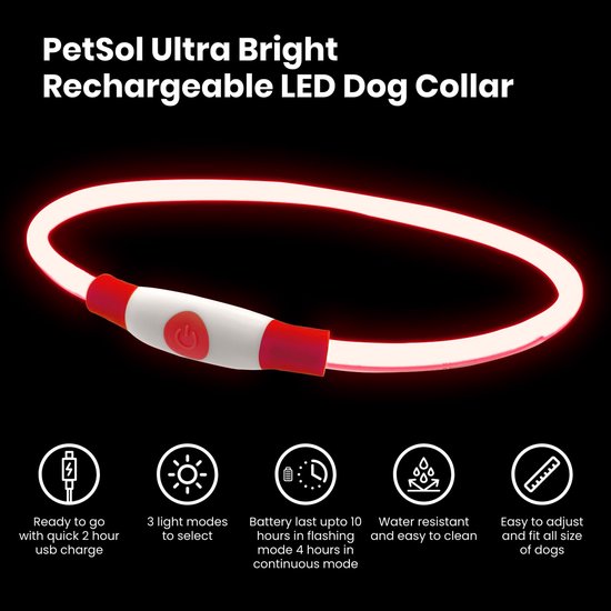 LED Light Collar for Dogs, USB Rechargeable Adjustable Length, Safety ...
