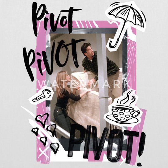 Friends Pivot Rachel Ross Chandler | bol