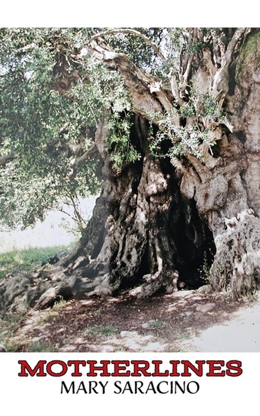 Motherlines, Mary Saracino | 9781597191050 | Boeken | bol