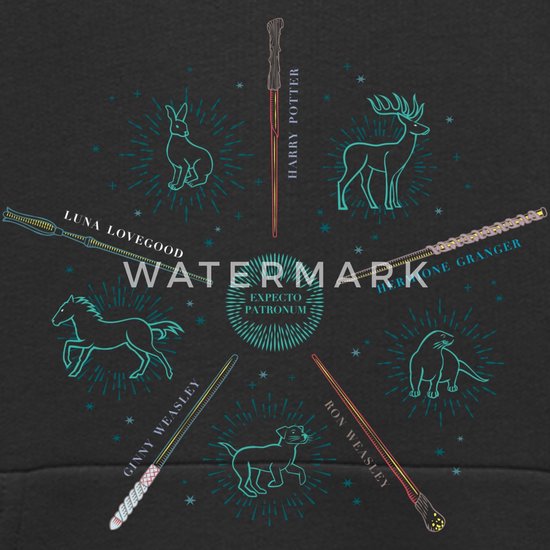 Harry Potter Expecto Patronum | bol