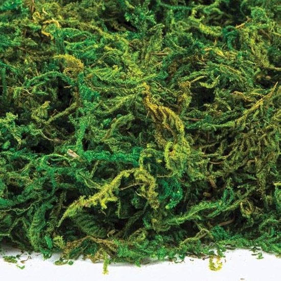 Gedroogd mos - groen - 100 g - natuurlijk materiaal | bol