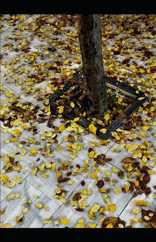 No Ground: A Surreal Plunge into the Unknown - Where Falling Never Ends ...