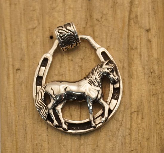 Sterling zilveren hanger paard in hoefijzer - 925 zilver hangertje van ...