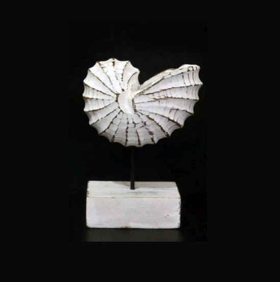 Houten schelp beeld antique white XL | bol