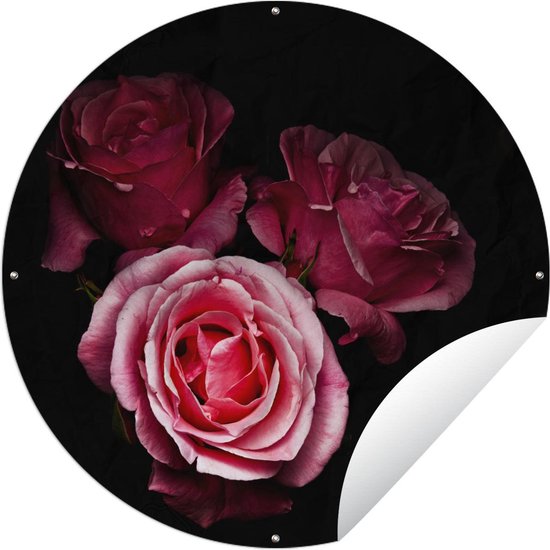 Affiche de jardin ronde Rose rose - Une photo de roses roses sur fond ...