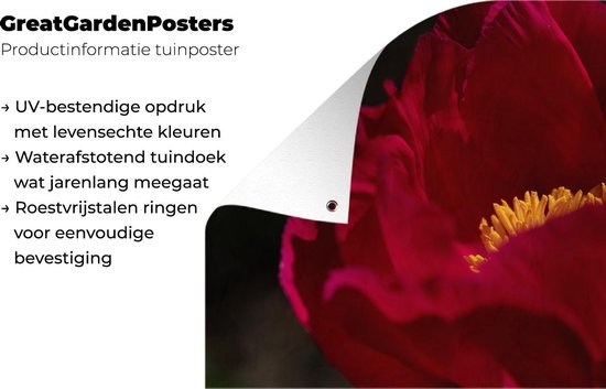 Tuinposter - Tuindoek - Tuinposters buiten - Een afbeelding van een ...