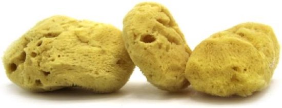 Menstruatie sponsje - Ecologisch en Herbruikbaar - Menstruatie - Natuur ...