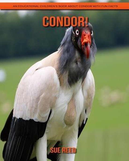 Condor! An Educational Children's Book about Condor with Fun Facts, Sue ...