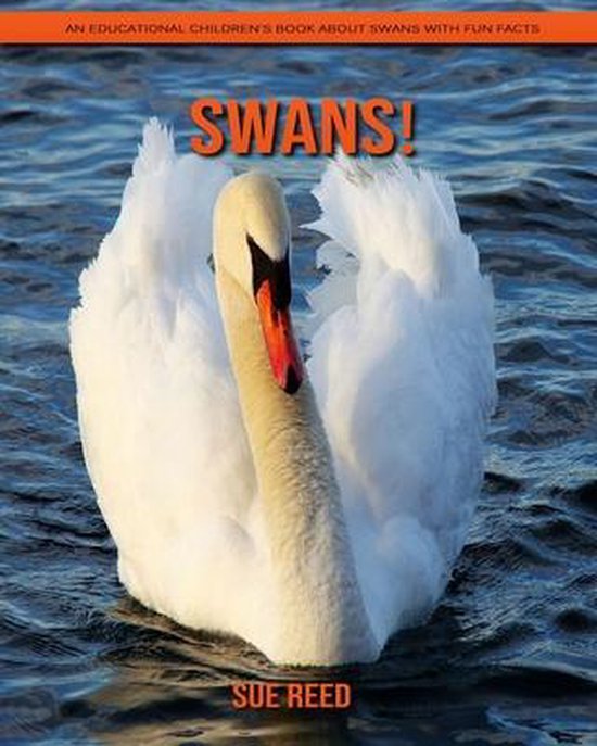 Swans! An Educational Children's Book about Swans with Fun Facts, Sue ...