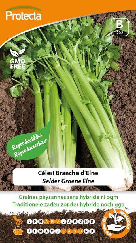 Protecta Groente zaden: Selder Groene Elne | bol