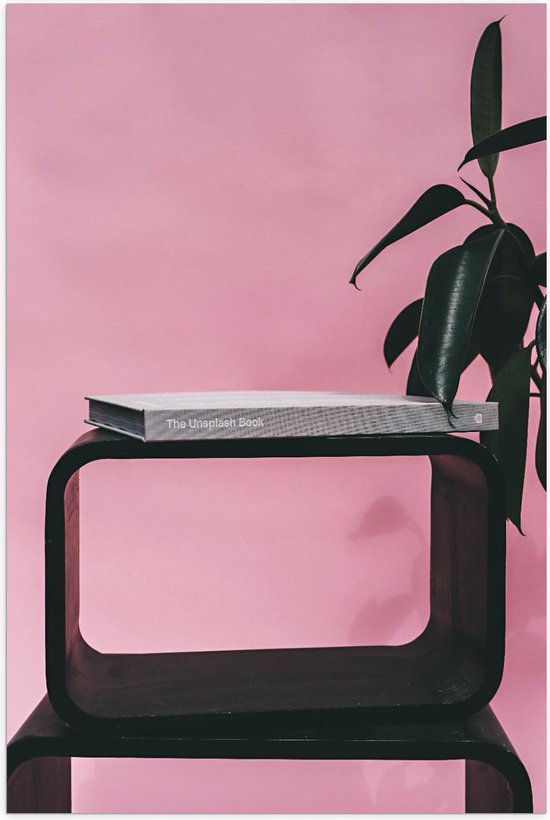 Poster – Kast met Map met Plant - 40x60cm Foto op Posterpapier | bol