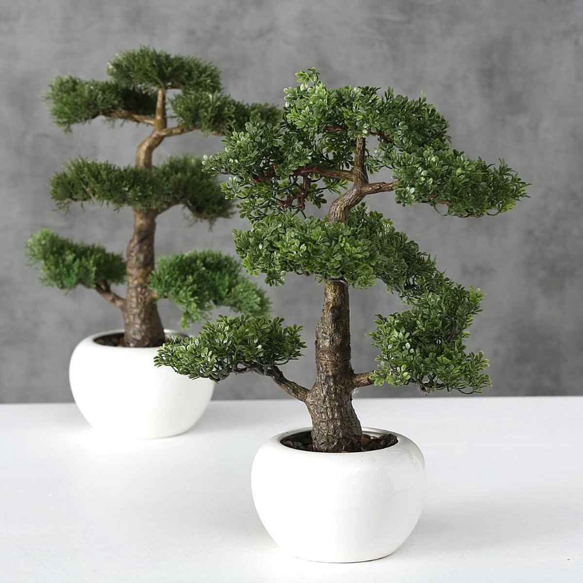 Dulaire Kunst Bonsai Boompje 47 cm - B | bol.com