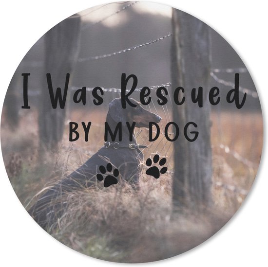 Muismat Honden Quotes - Honden quote 'I was rescued by my dog' en een ...