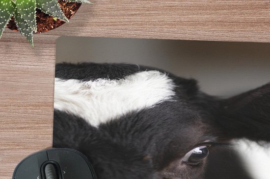 Muismat Friese koe - Pasgeboren Friese koe kalf muismat rubber - 18x27 ...