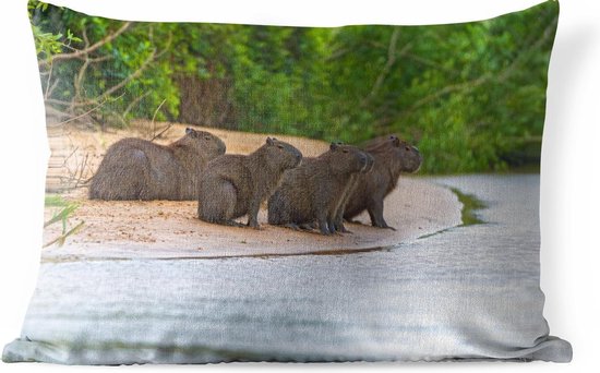 Sierkussen Capibara voor buiten - Vier Capibara's die op een zandbank ...