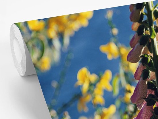 Behang - Fotobehang - Roze bloem met brem - Breedte 350 cm x hoogte 280 ...